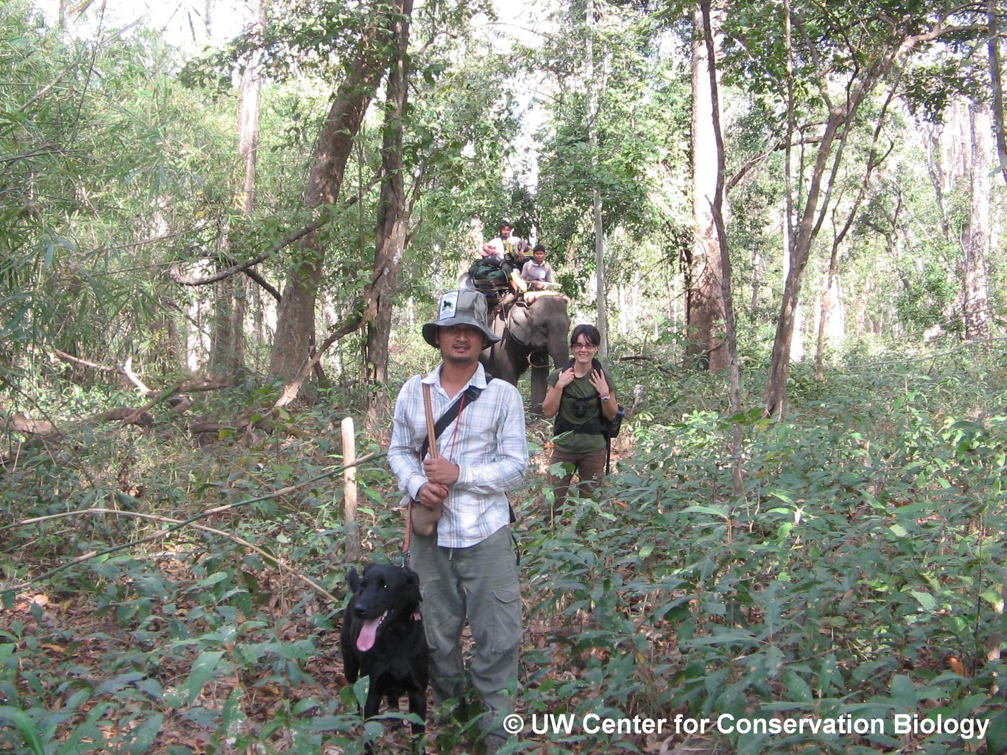 Cambodians trained to handle dogs in Mondulkiri’s forests | WWF