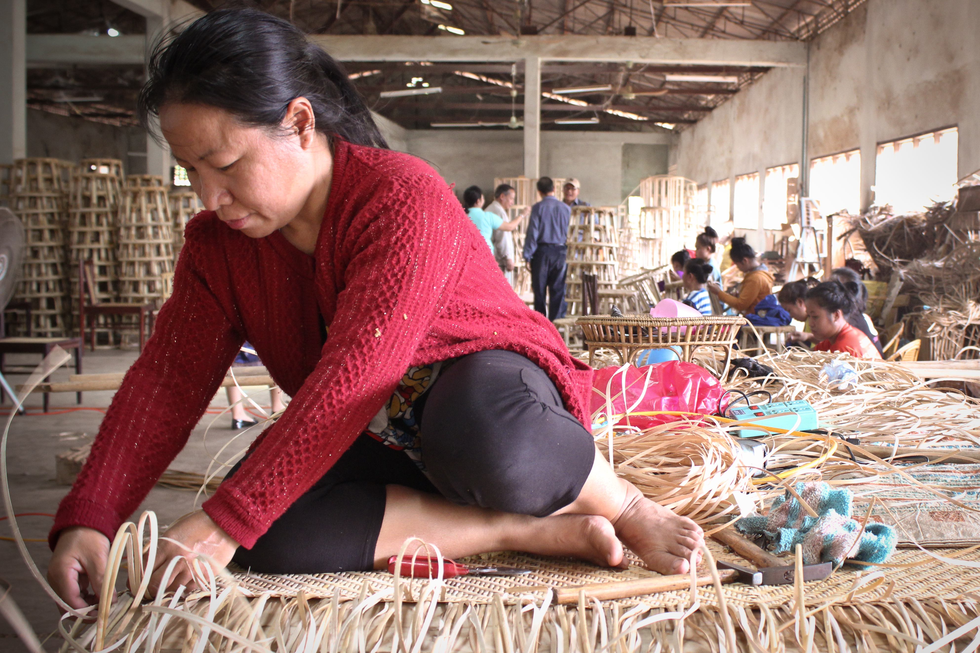 News in Brief: Earth Hour, Power Sector Vision, Sustainable Rattan, New ...