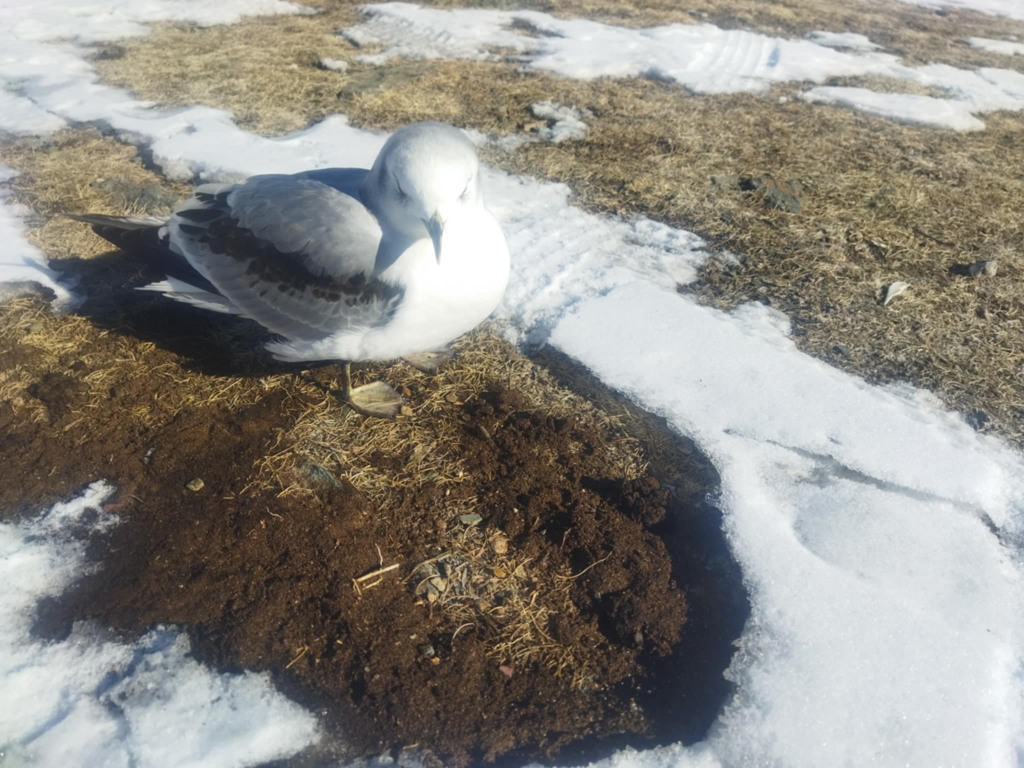 From rescue to release | WWF