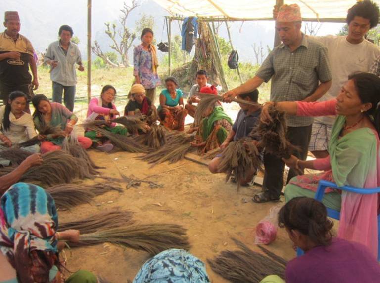 Broom grass — a boon for communities and ecosystems | WWF