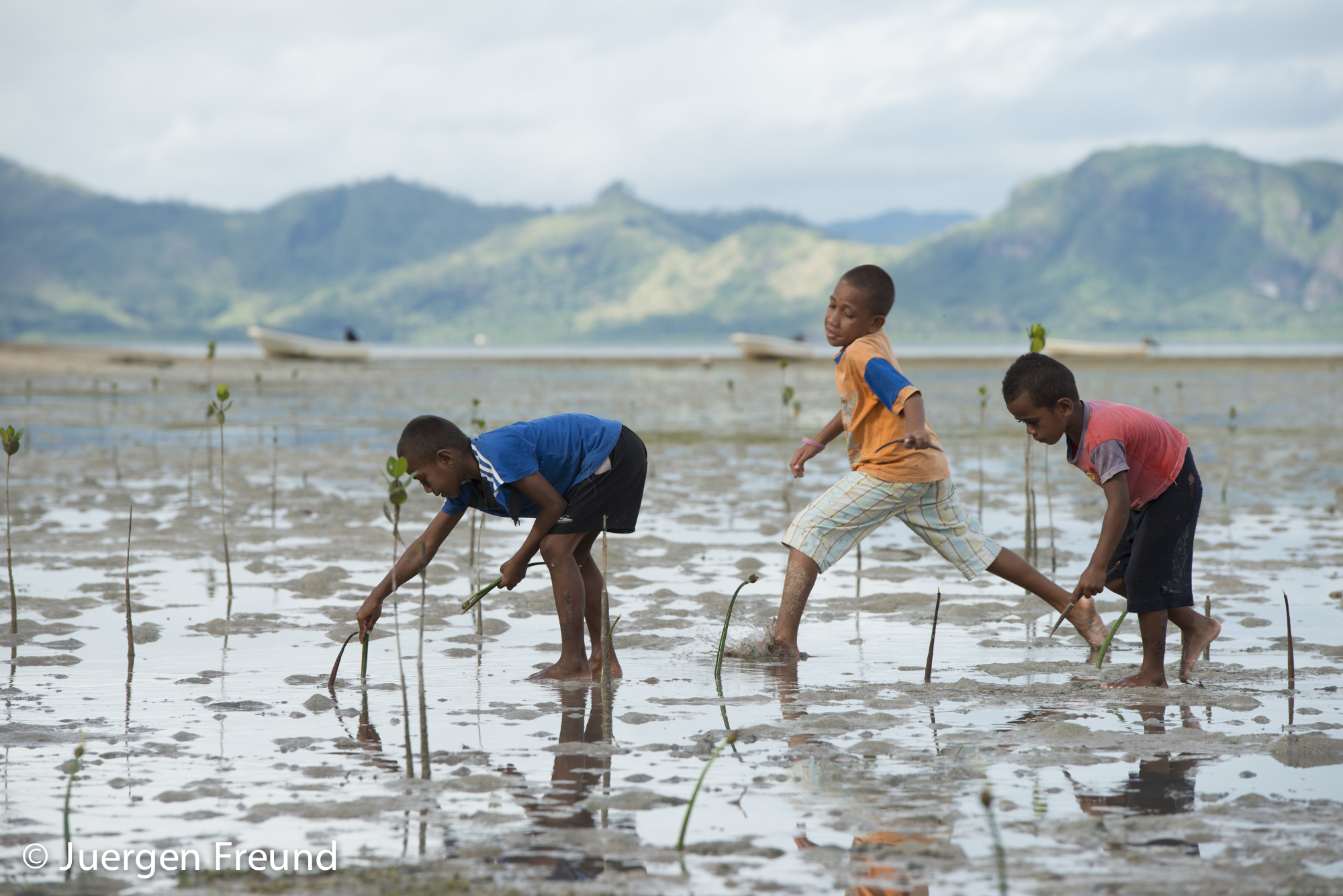 The need to protect Fiji's GSR | WWF