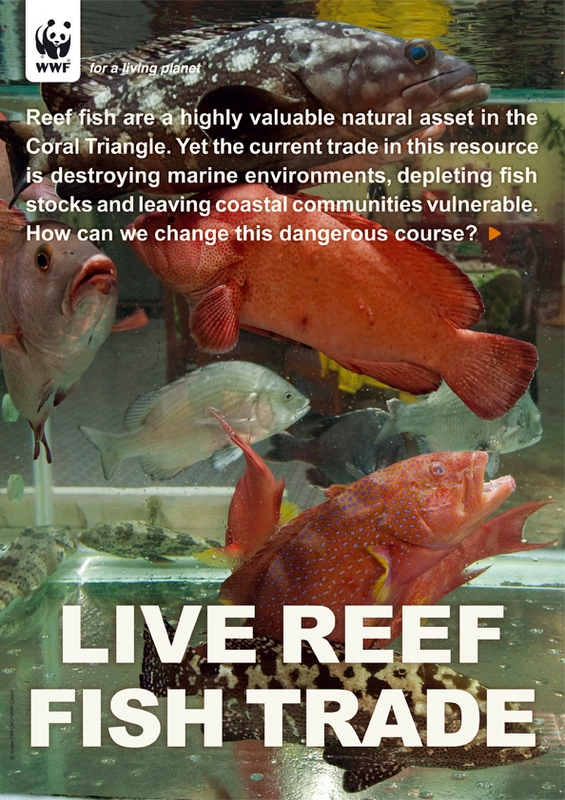 Coral Triangle Live Reef Food Fish Trade Brochure | WWF