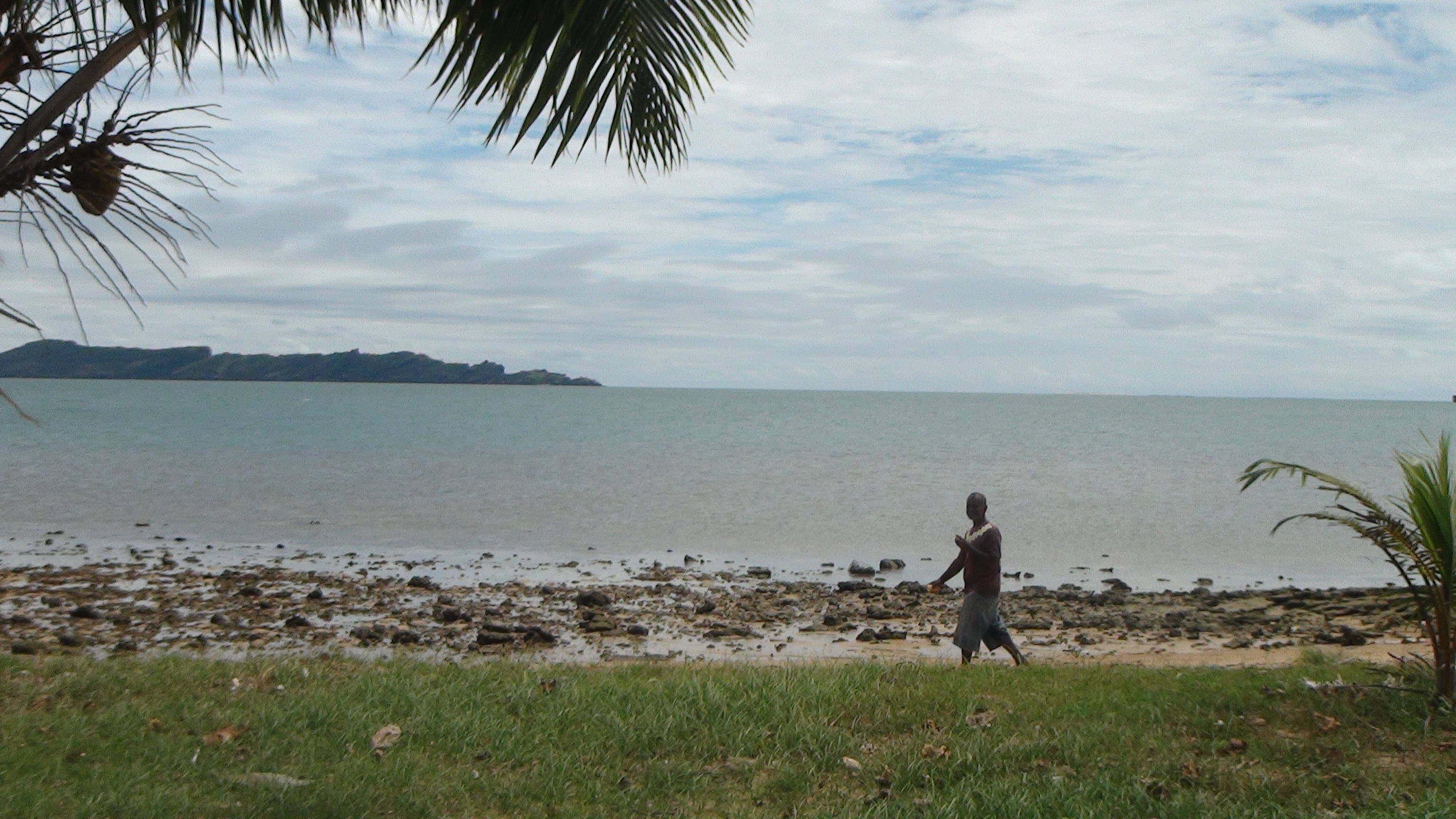 Galoa Bans Turtle Consumption | WWF