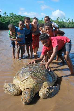 Turtle friend for life | WWF