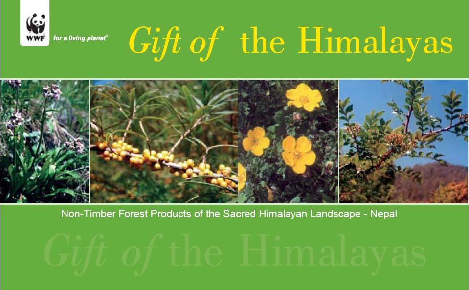 Gift of the Himalayas - high value plants and NTFPs | WWF