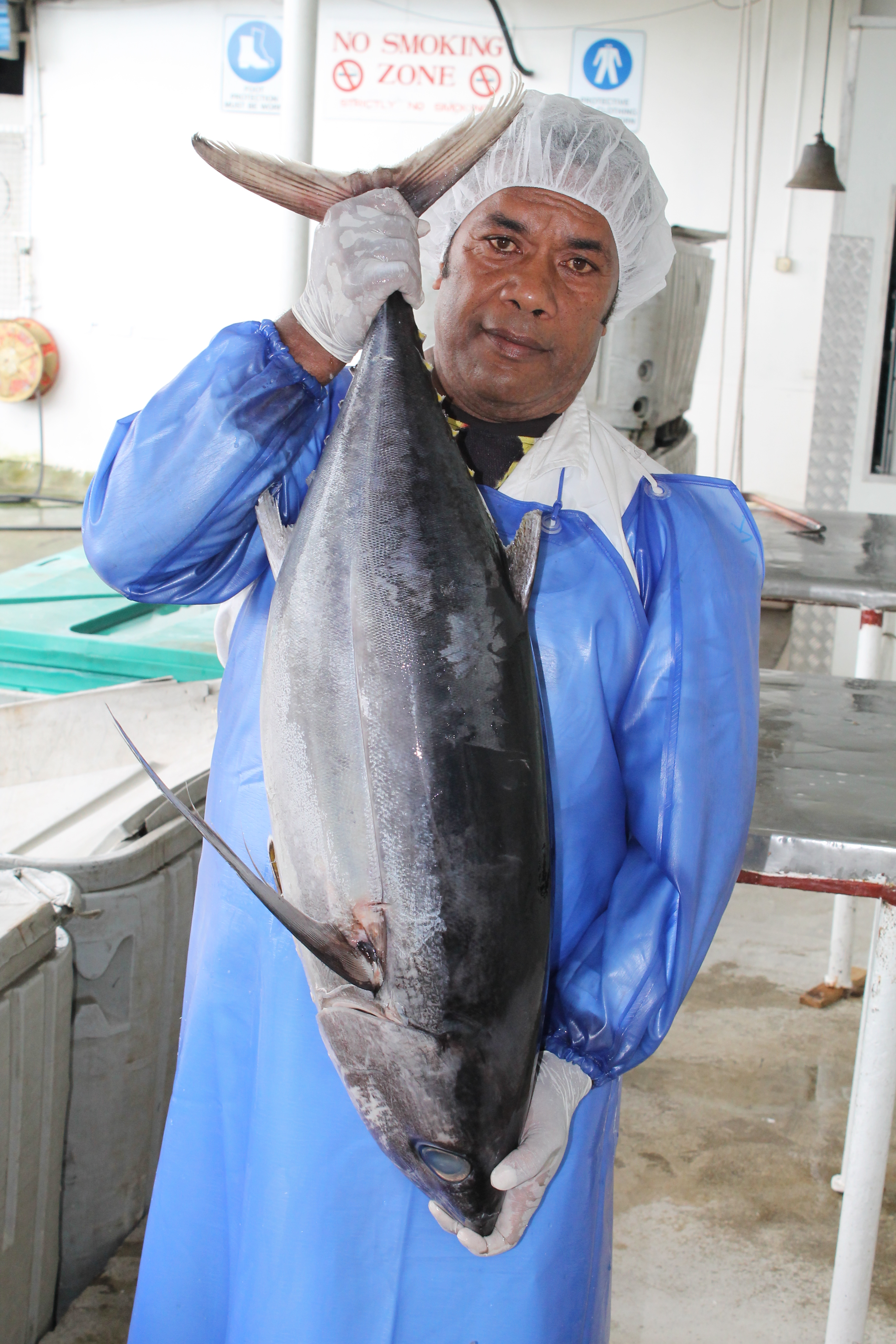 Fiji's Path To A Sustainable Fishery | WWF