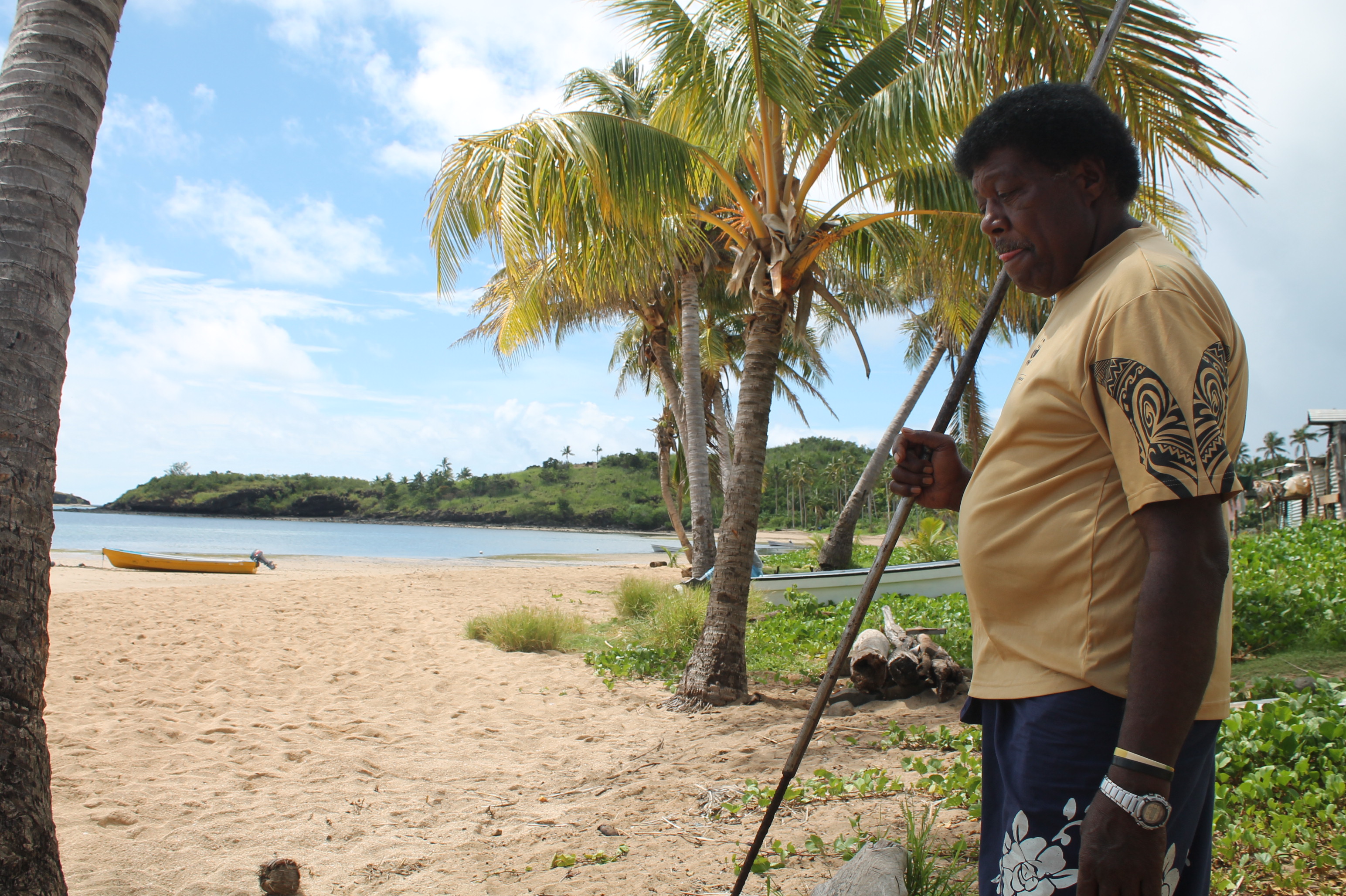 Happy chief happy turtles | WWF