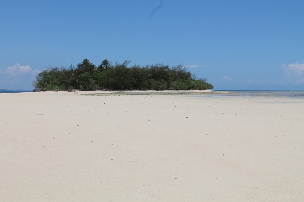 Ancient Sages of Kavewa | WWF