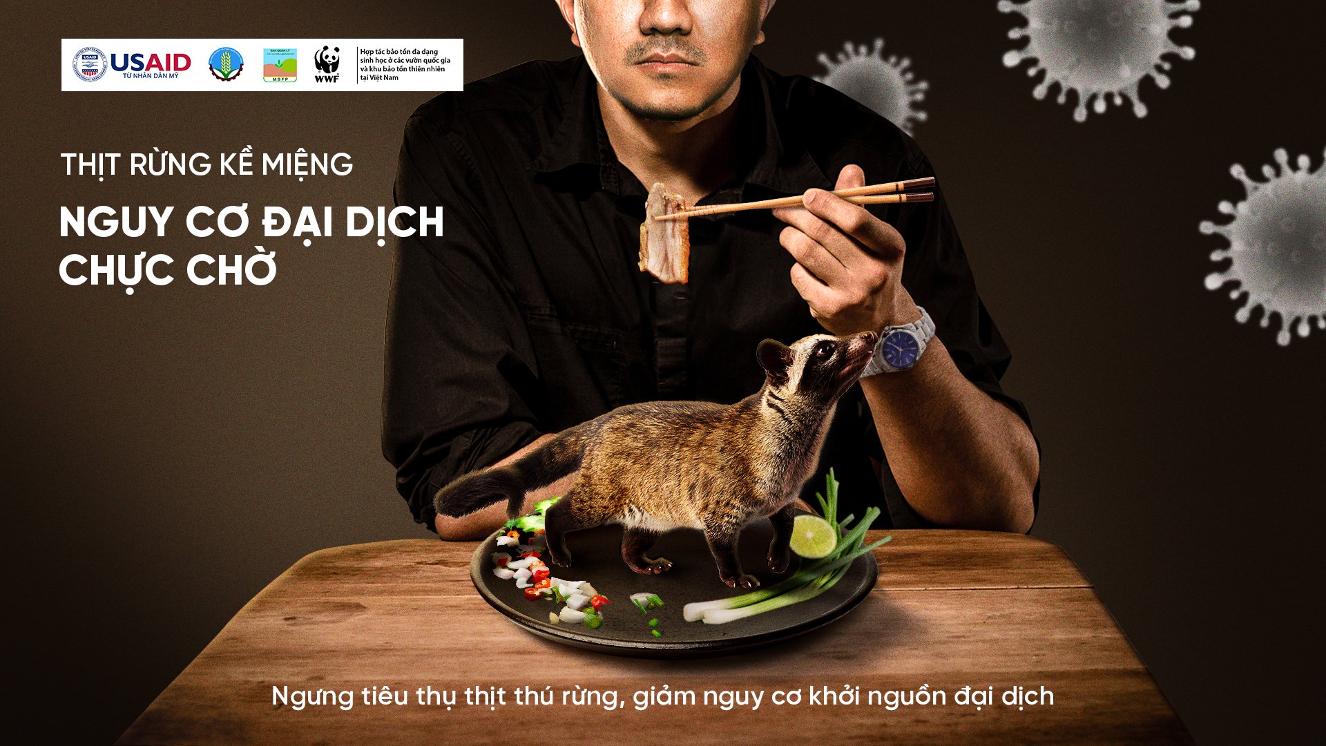 Wild meat demand reduction campaign: “Once wild meat is on the dining ...