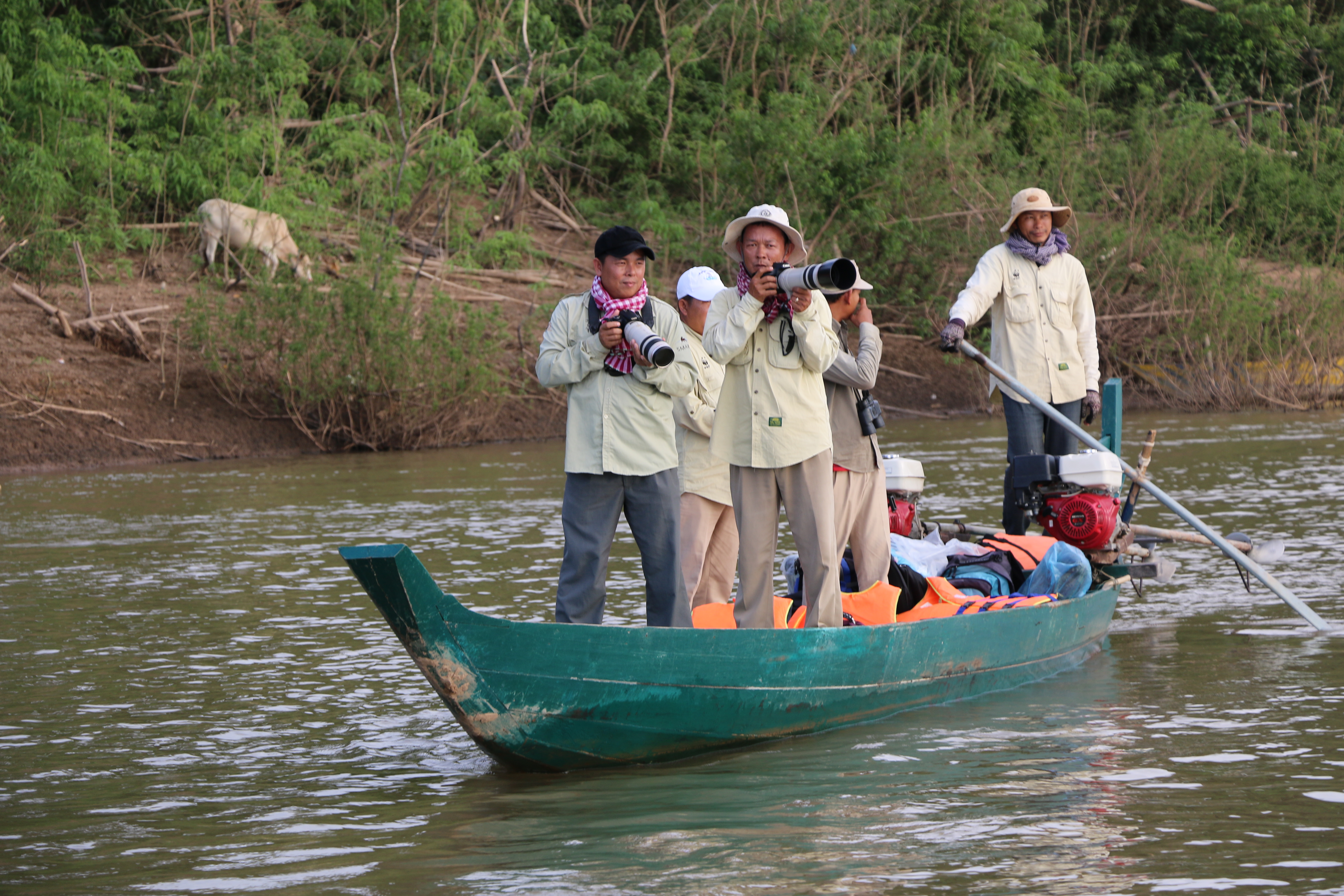 Hope for Critically Endangered Mekong River Dolphins as Population ...