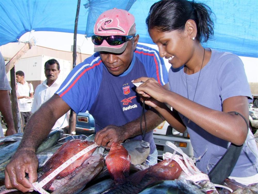 Sustainable Seafood Series: What is Sustainable Seafood? | WWF