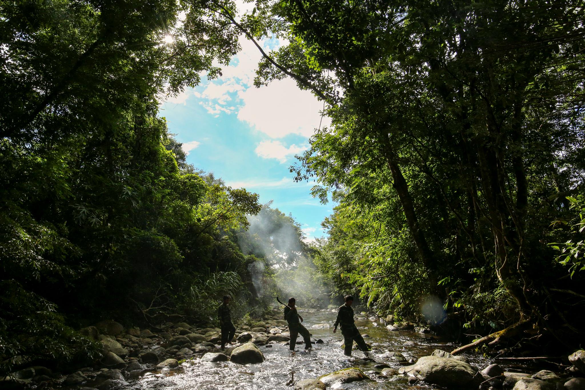 WWF and Partners Celebrate Six Years of Successful Forest and Wildlife ...