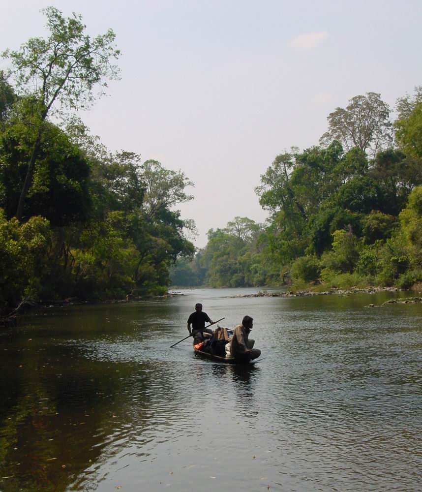 A shock to the ecosystem as gold mining explodes across Cambodia | WWF