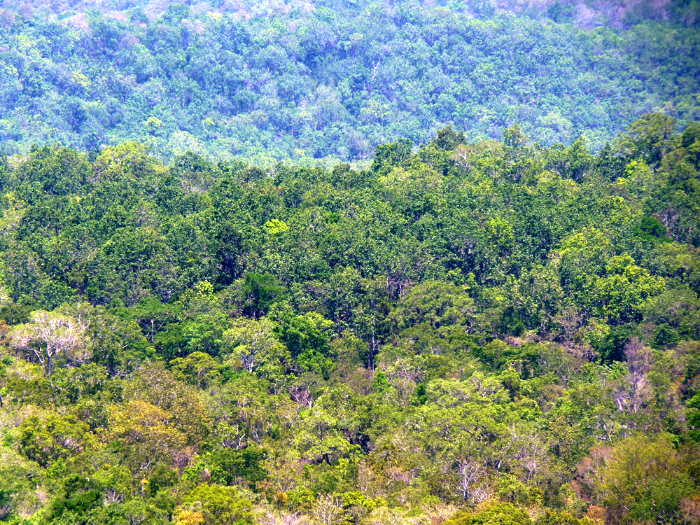 Vietnam and Cambodia initiated co-operation agreement to protect the ...