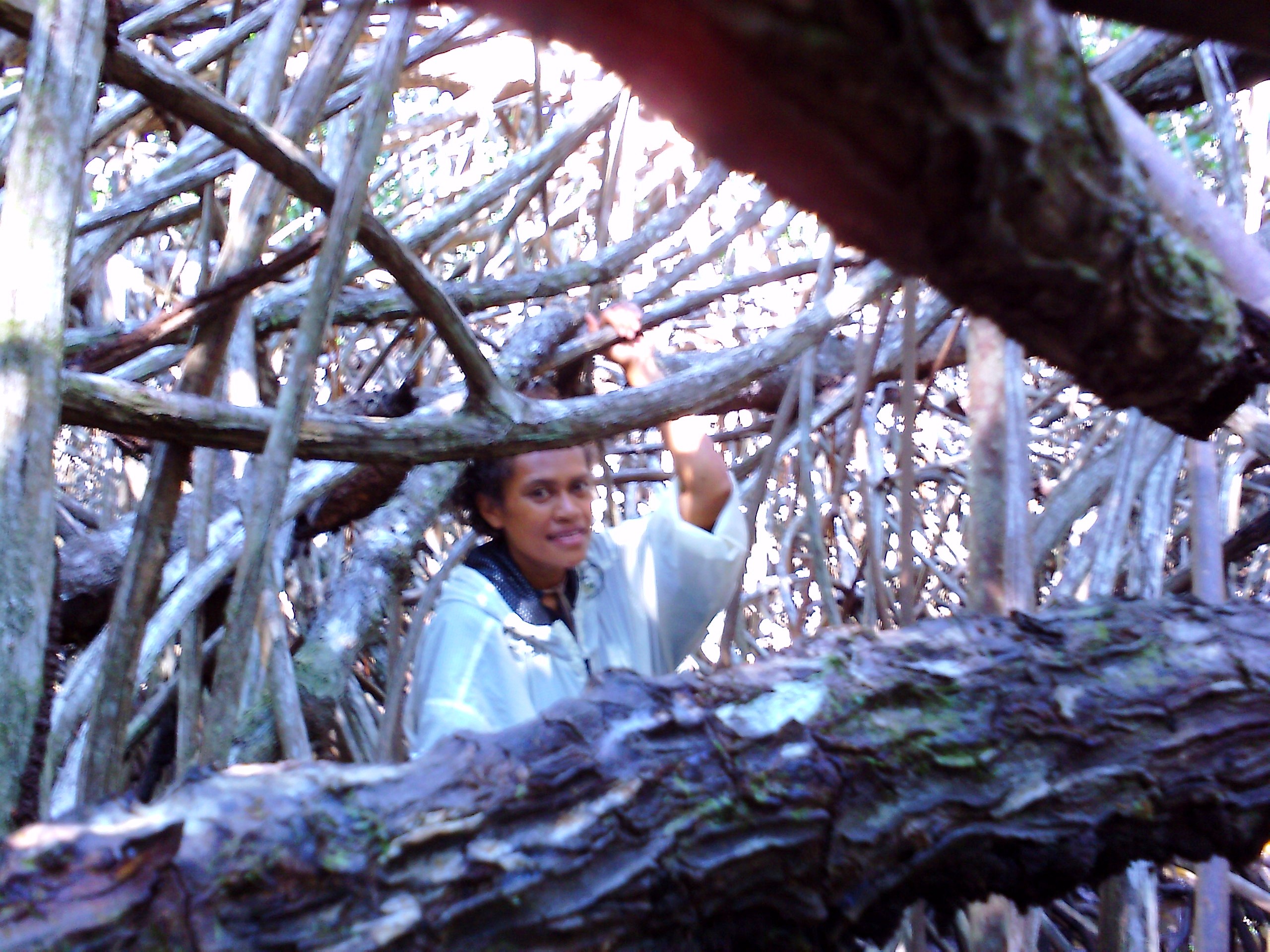 Field Blog: Mangrove survey, day 4 | WWF