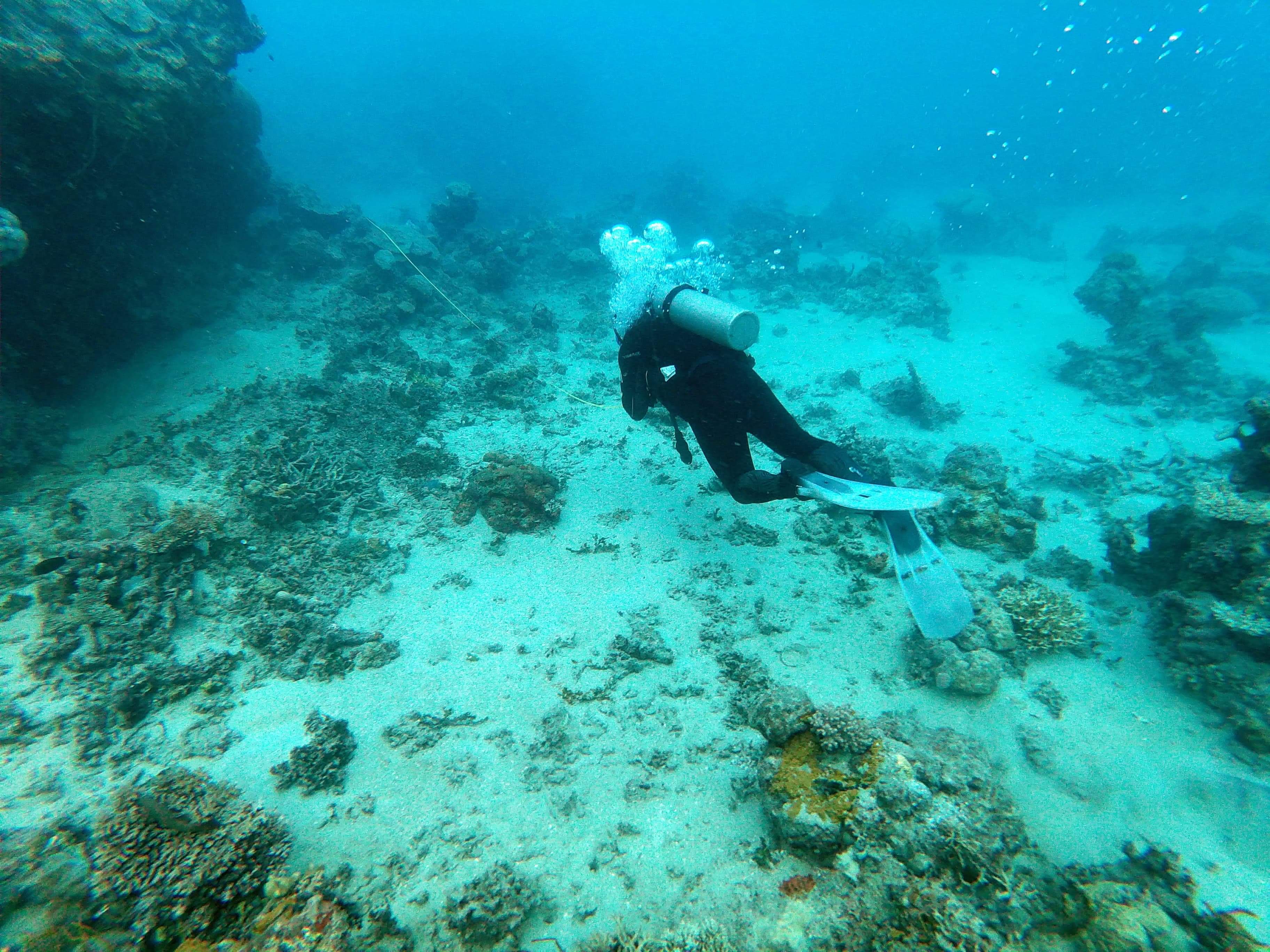 Monitoring the health of Fiji’s Great Sea Reef | WWF