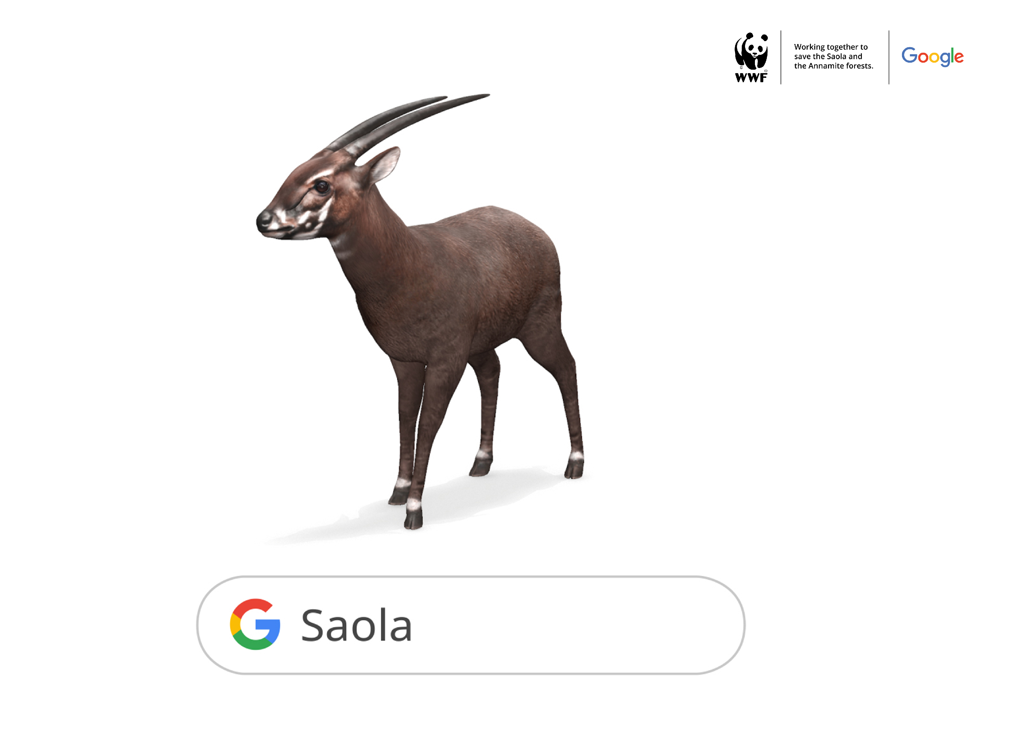 Google joins forces with WWF-Viet Nam in Saola conservation campaign ...