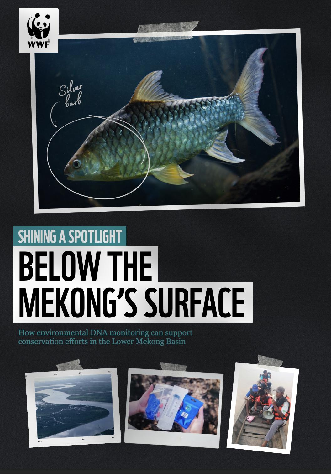Shining a Spotlight Below the Mekong’s Surface: eDNA Summary Report ...
