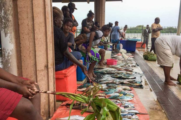 Two fish species face extinction from over fishing in Gizo, says WWF | WWF