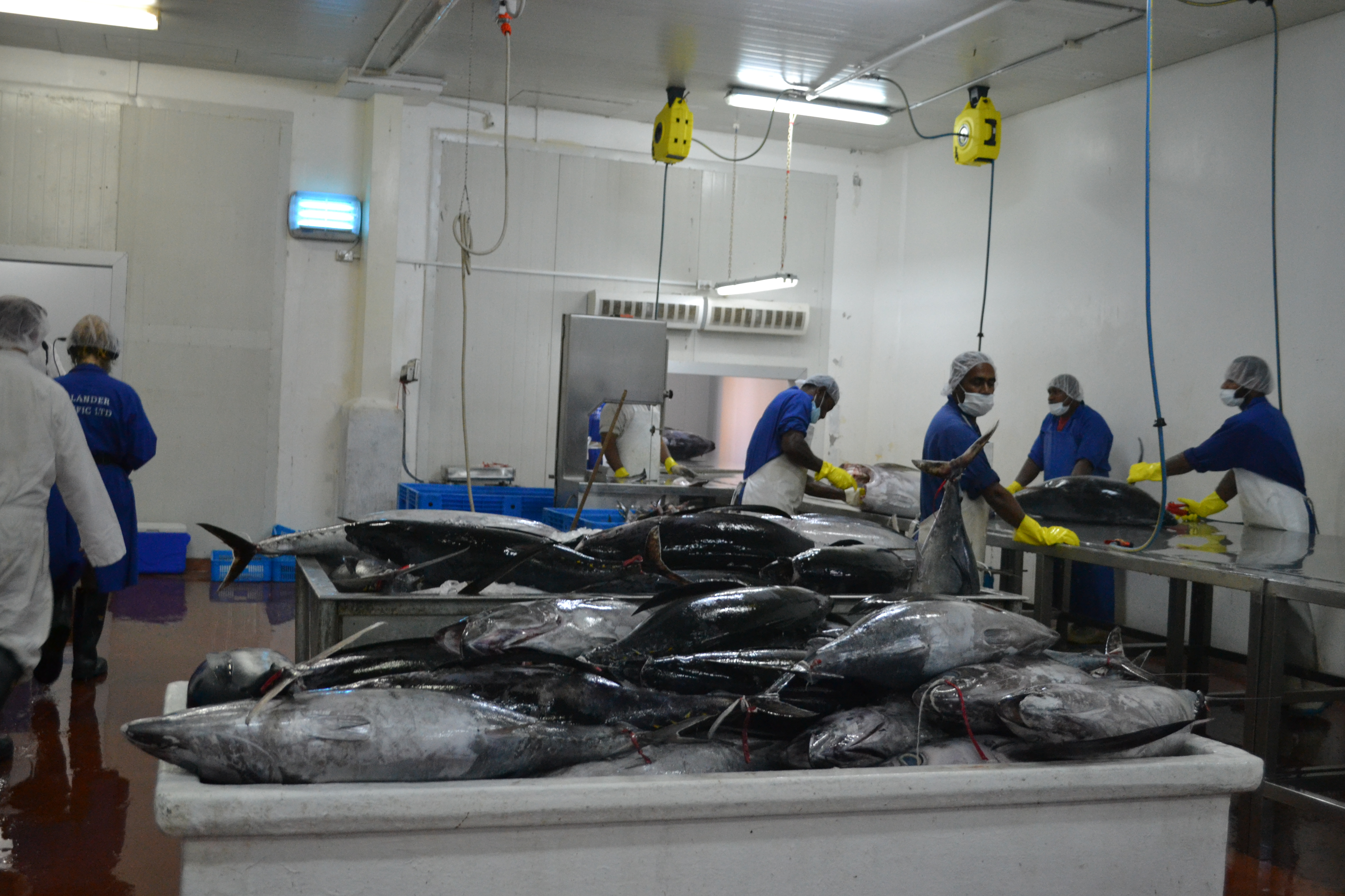 Fiji receives recertification for Albacore and Yellowfin long line tuna ...