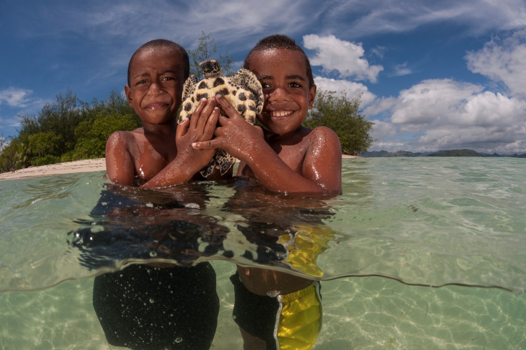 Turtle conservation in Fiji at a glance | WWF